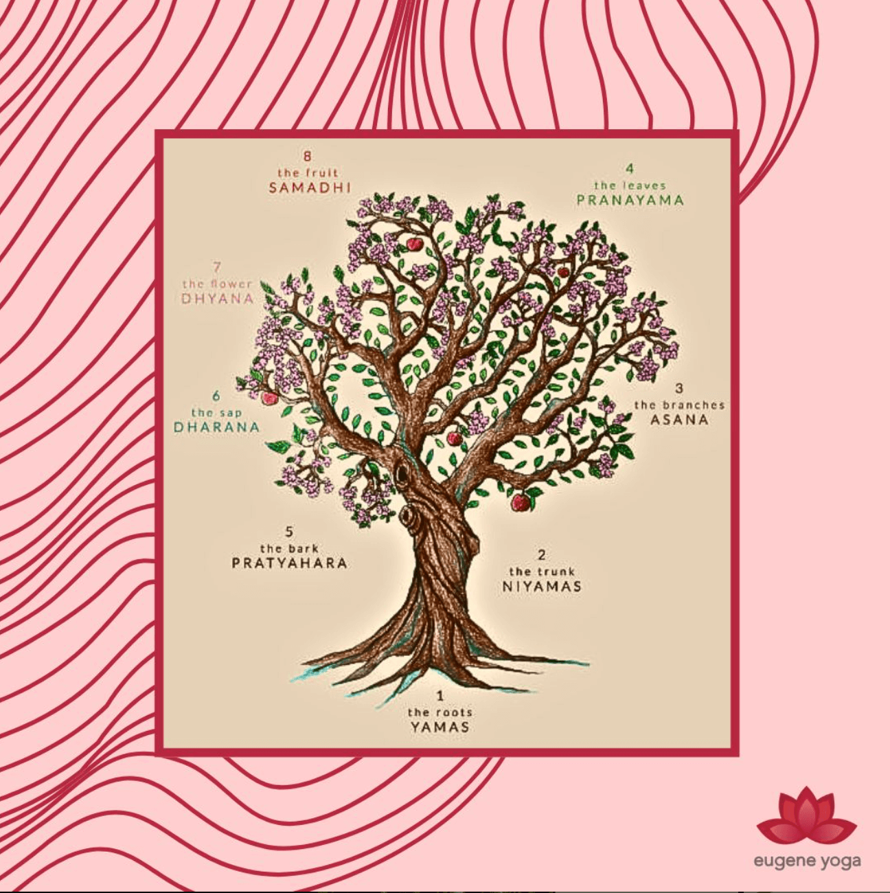 The Eight Limbs of Yoga • Eugene Yoga