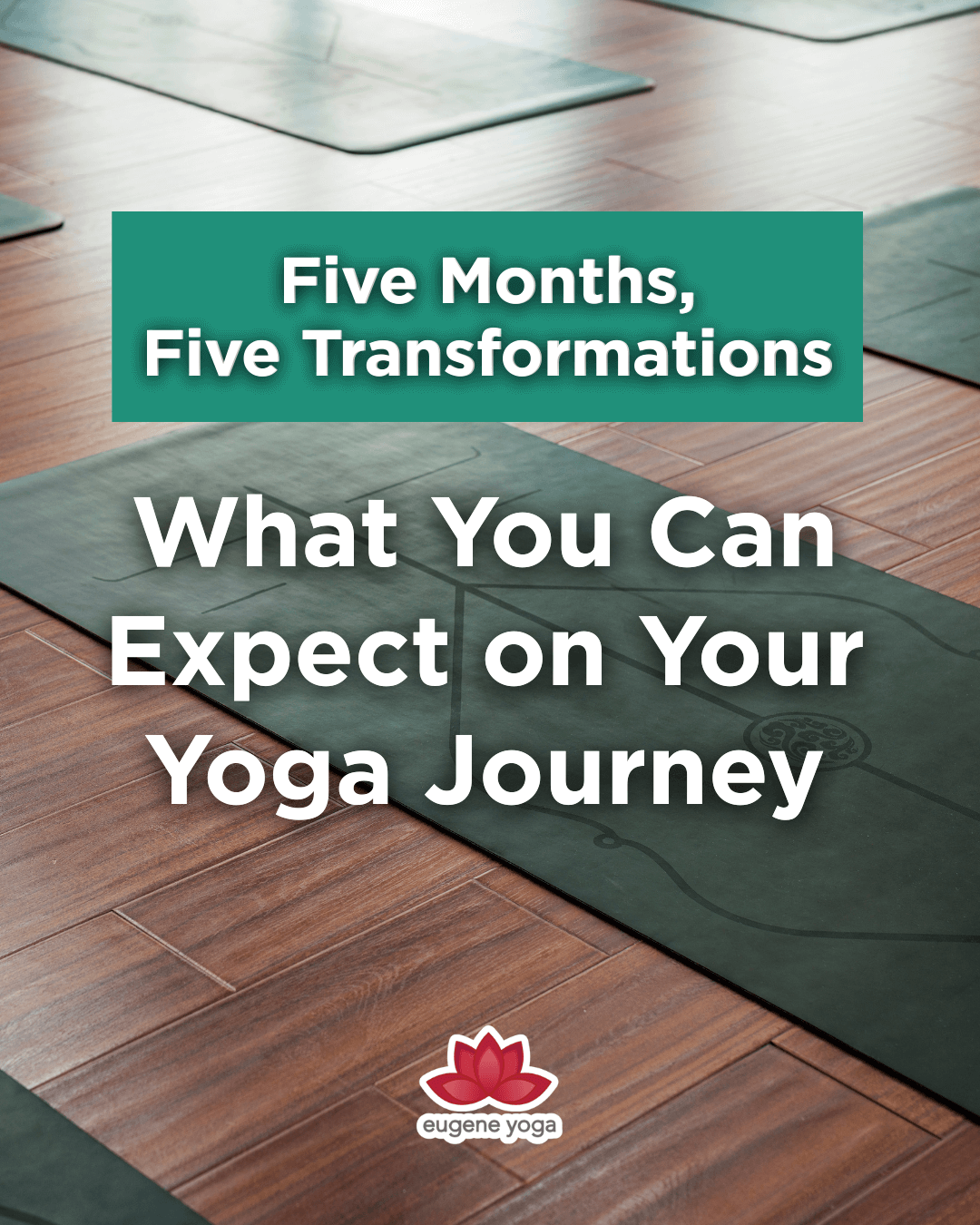 Five Months, Five Transformations: What You Can Expect on Your Yoga ...